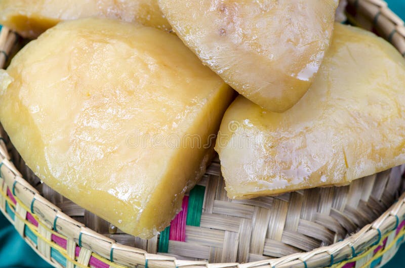 Árboles Del Pan (altilis De Artocarpus) Foto de archivo - Imagen de ...