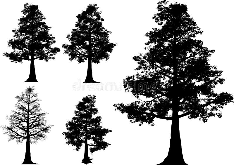 Árboles del vector ilustración del vector. Ilustración de hoja - 8823979