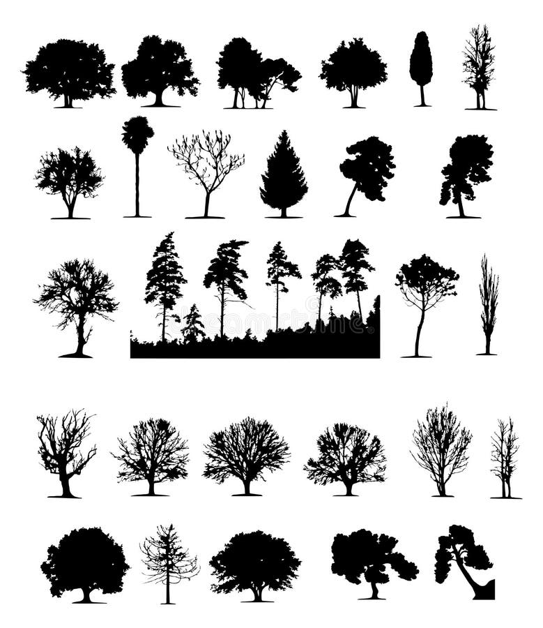 Árboles (vector) ilustración del vector. Ilustración de bosque - 1807051