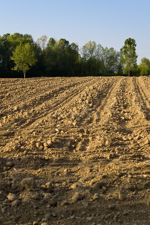 Tierra arable foto de archivo. Imagen de cultivado, cielo - 16907328
