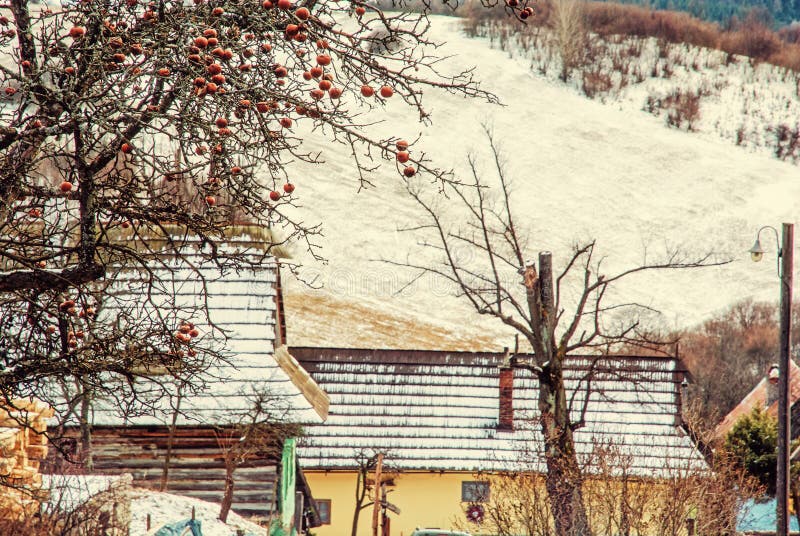 Árvore De Apple E Casas De Madeira Na Vila De Vlkolinec Imagem de Stock ...