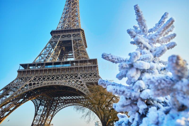 Árvore De Natal Coberta Com a Neve Perto Da Torre Eiffel Em Paris Foto ...