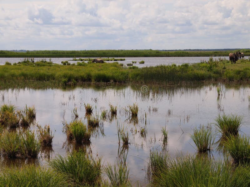 257 Emeri Stock Photos - Free & Royalty-Free Stock Photos from Dreamstime