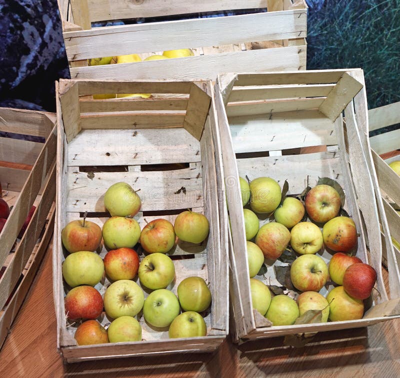 Apfelkisten stockfoto. Bild von gelb, markt, pappe, apfel - 30921612