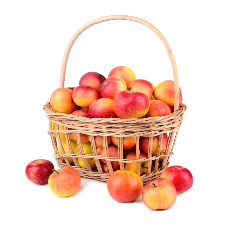 Äpfel im Korb stockfoto. Bild von frucht, herbst, gesund - 100704516