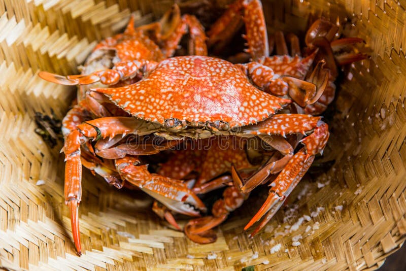 Fångar Krabbor ångade Shanghai Arkivfoto - Bild av fisk, meat: 3432648