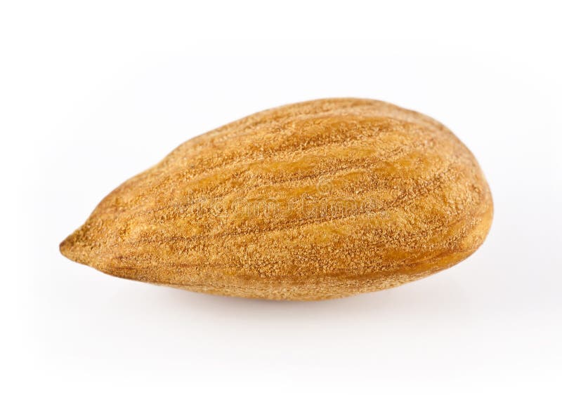 Één amandel stock afbeelding. Image of macro, verfrissing - 23013805