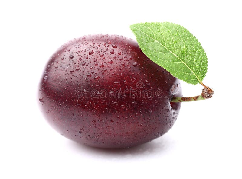 Één rijpe pruim stock afbeelding. Image of ingrediënt - 32309717