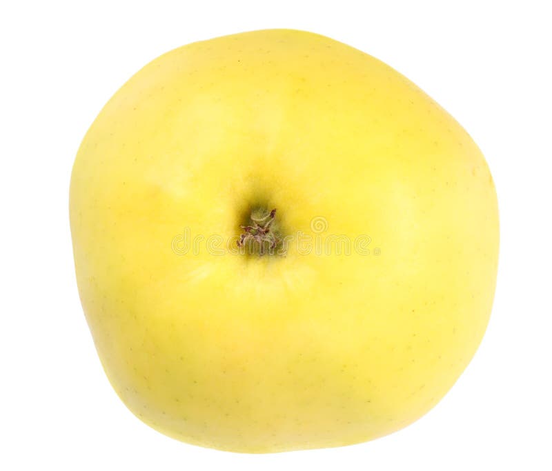 Één verse gele appel stock foto. Image of tuin, fotografie - 24840858