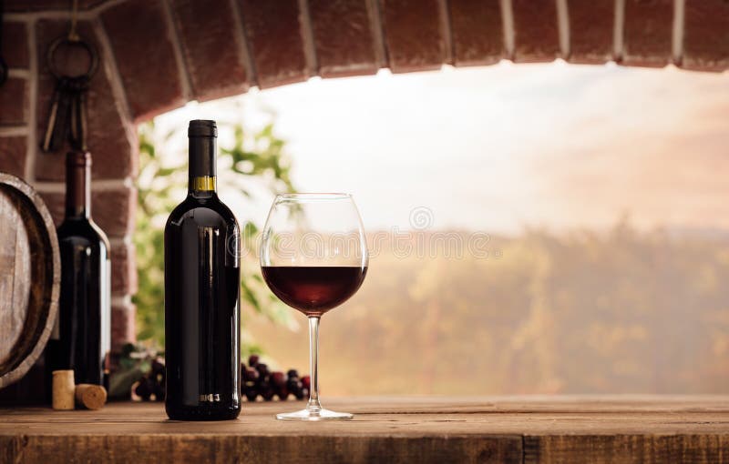 Échantillon De Vin Rouge Dans La Cave Image stock - Image du rustique ...