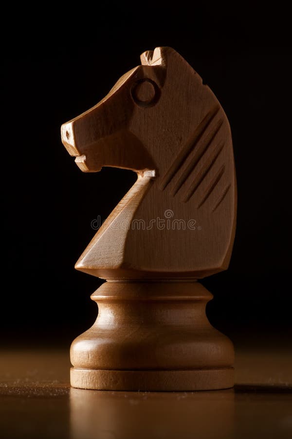 Cheval D'échecs Avec L'ombre Comme Cheval Sauvage Image stock - Image ...