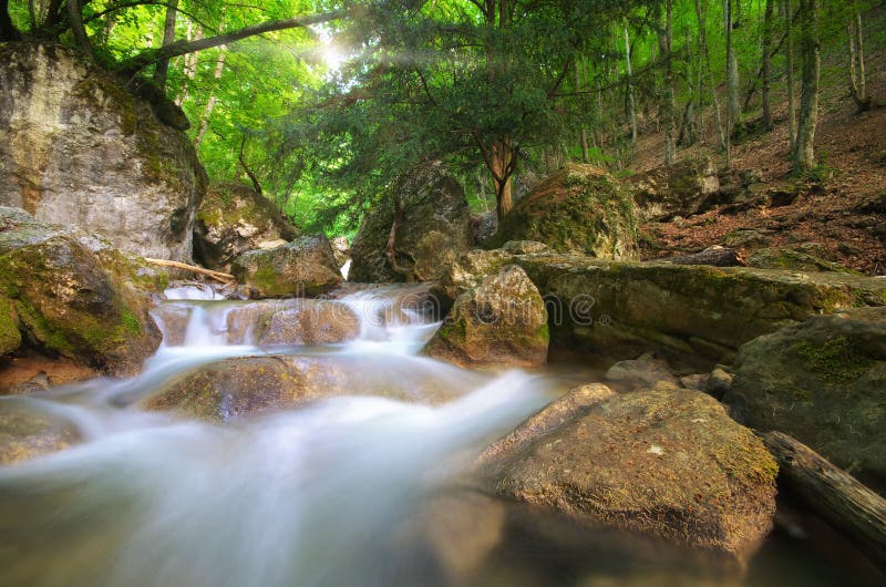 Écoulement De Ruisselet De Ressort Photo stock - Image du fond, vert ...