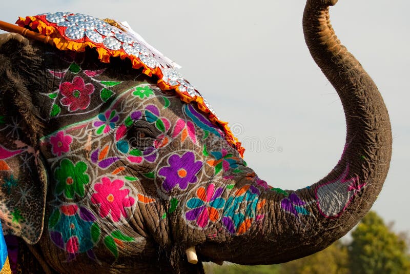 Éléphant Admirablement Peint En Inde Photo stock - Image du peint, inde ...