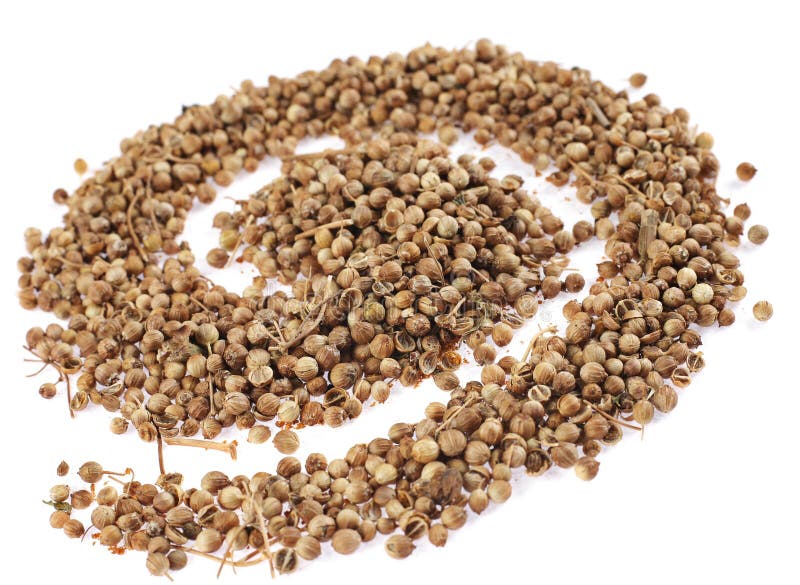 Épice de coriandre image stock. Image du brun, isolement - 10711561