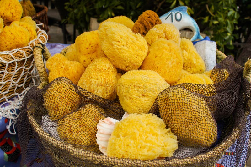 Éponges Naturelles D'une Mer Dans La Boutique à L'île De Symi, Grèce ...