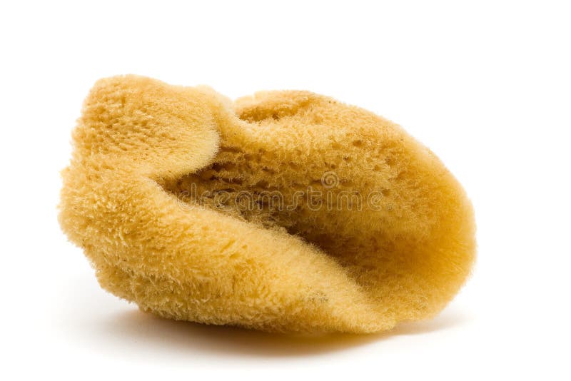 Éponge normale photo stock. Image du hygiène, éponge - 20151072