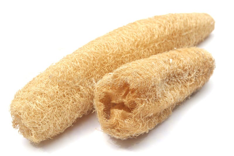 Fibre Naturelle D'?ponge De Luffa Pour Le Frottement De Corps Photo ...