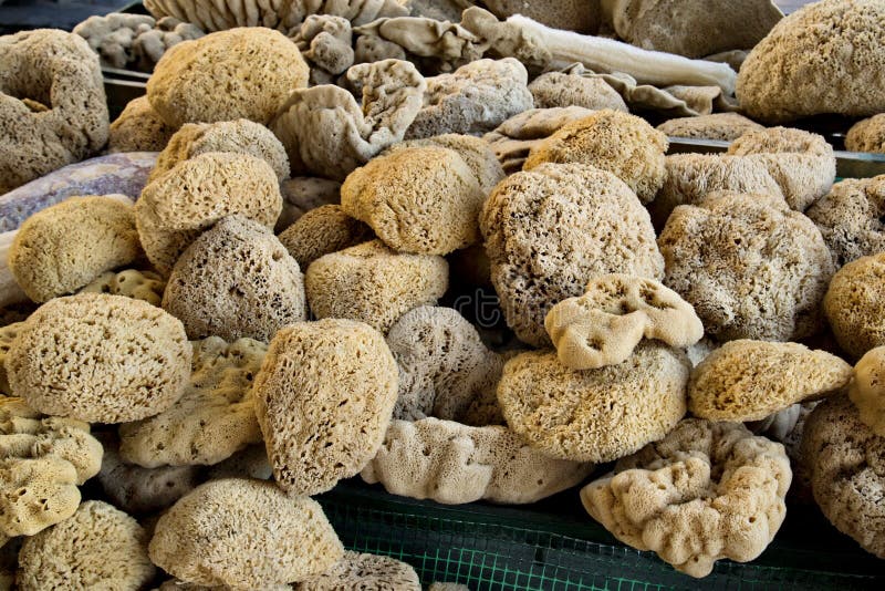 Éponge De Mer Sur L'affichage Dans Le Magasin De Rue Sur L'île Rhodes ...