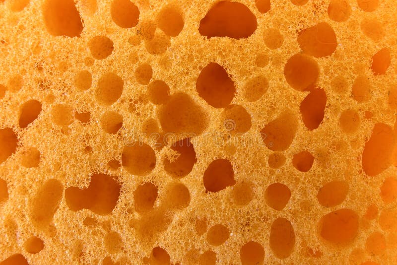 Texture d'éponge photo stock. Image du beauté, bain, véhicule - 7727044
