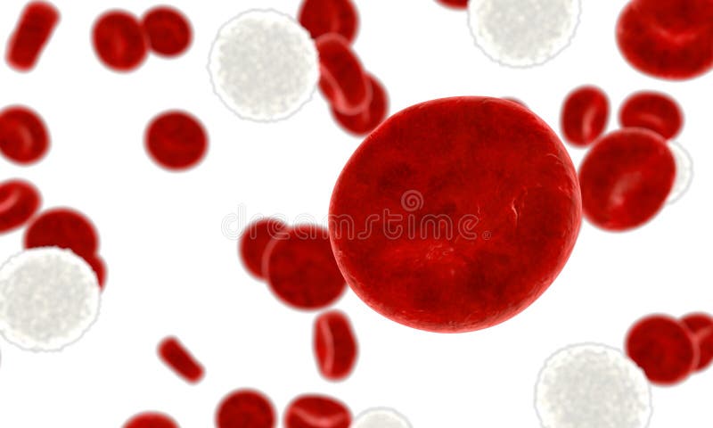 Érythrocyte, Globules Rouges, Concept Médical D'anatomie Illustration ...