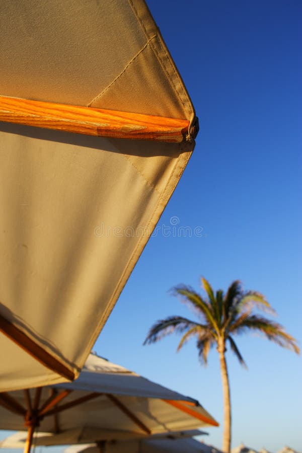 Été Picture. Image: 4120301