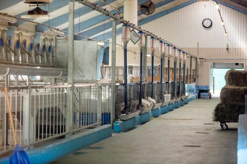 Ferme moderne photo stock. Image du agriculture, poulets - 9529440