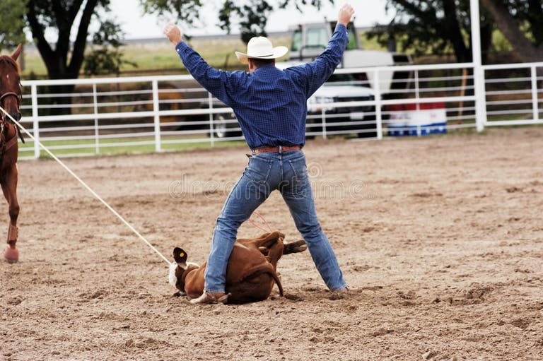 Éxito foto de archivo. Imagen de sombrero, ganados, pare - 335540