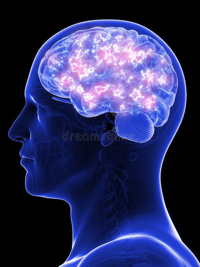 Cerveau actif humain illustration stock. Illustration du neurologie ...