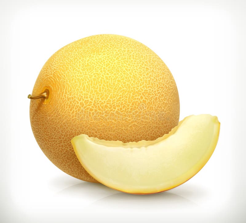 Ícone do vetor do melão ilustração do vetor. Ilustração de cantalupo ...