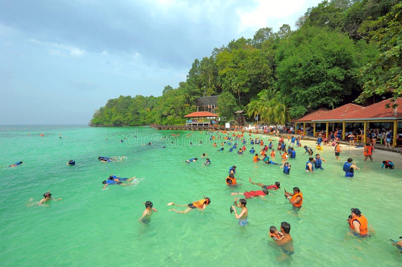 Parc Marin Pulau Payar Jardin Corallien Kedah Malaysia Plonge Dans Le ...