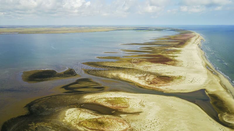 Île De Sacalin, La Mer Noire, Roumanie Photo stock - Image du roseau ...