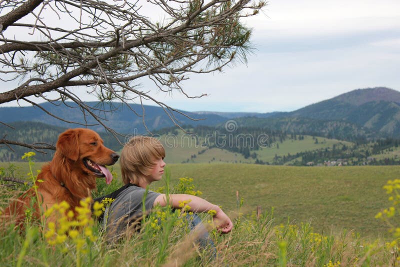Happy Dog stock photo. Image of healthy, mountain, sand - 1575976