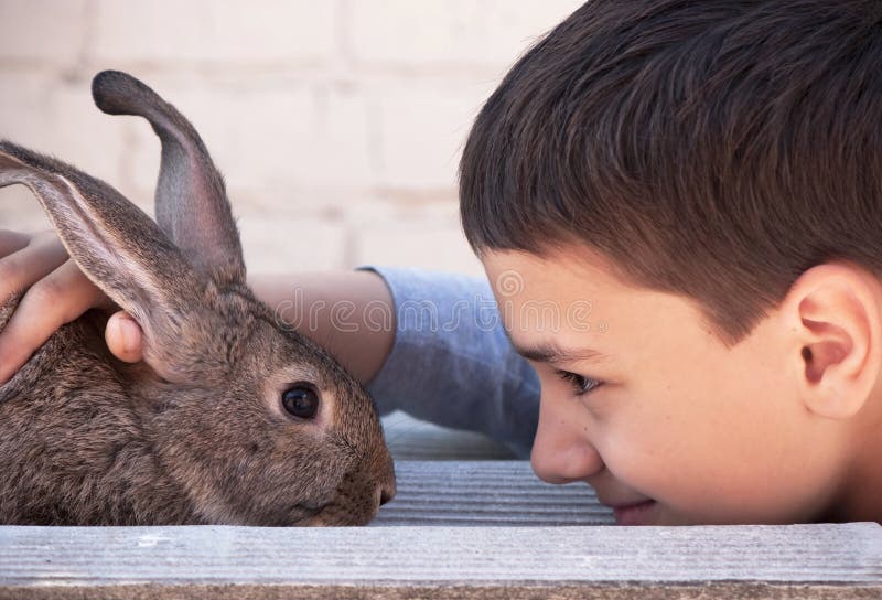 Fluffy friend stock photo. Image of ears, teenager, rabbits - 12995190