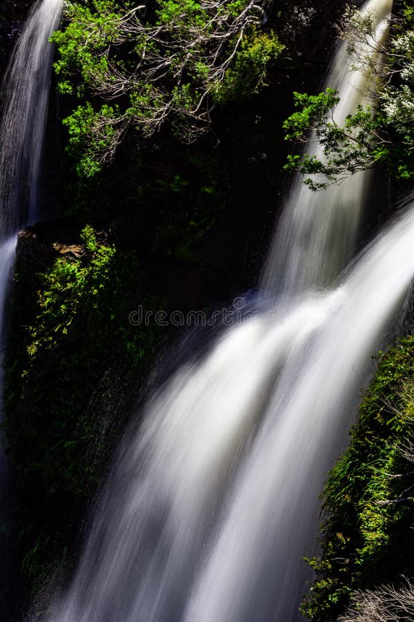 Ð‘lurred Water Motion in a Waterfall. Stock Photo - Image of south ...