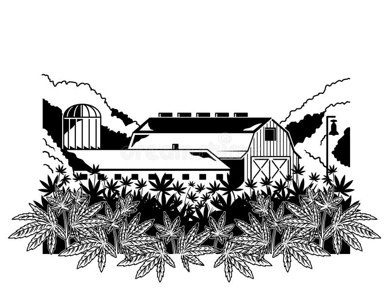 Hemp Farm Stock Illustrations – 885 Hemp Farm Stock Illustrations ...