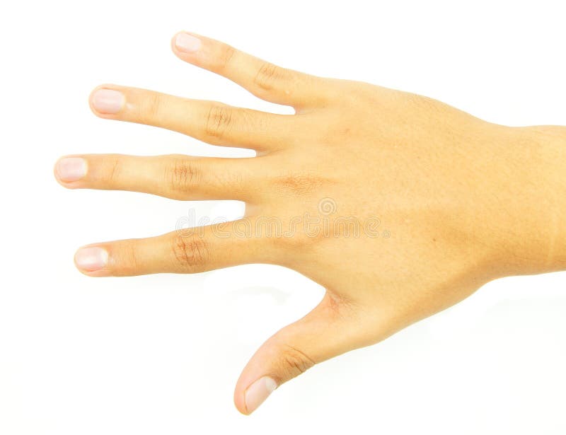 Öffnen Sie die rechte Hand stockfoto. Bild von teil, person - 23799244