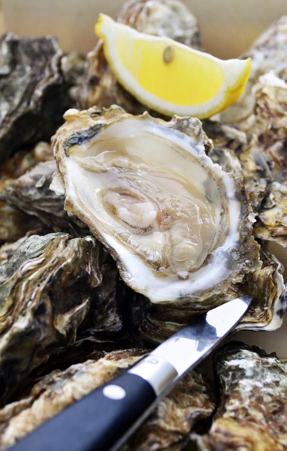 Ostron arkivfoto. Bild av afrodisiak, skaldjur, idérikt - 23969932