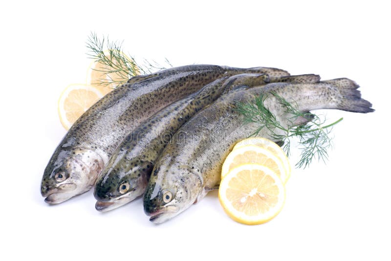 świeżego pstrąga zdjęcie stock. Obraz złożonej z jeden - 70153924