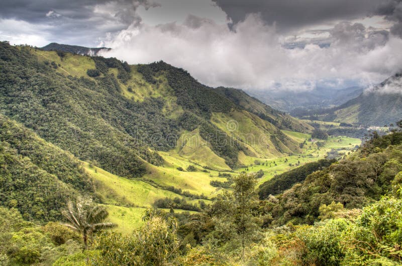 Κοιλάδα Cocora στοκ εικόνες. εικόνα από - 38026162