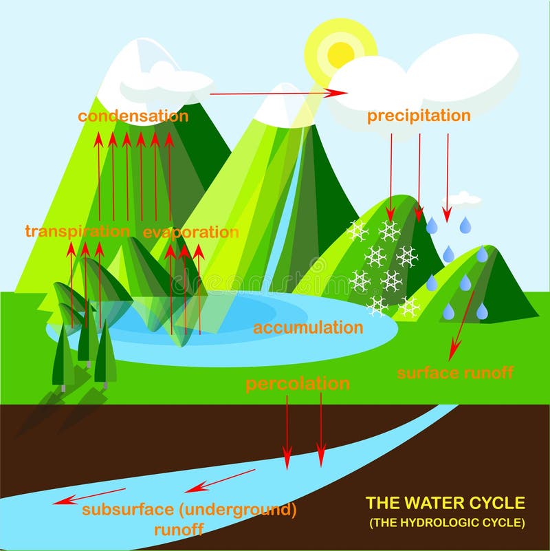 Percolation Water Cycle
