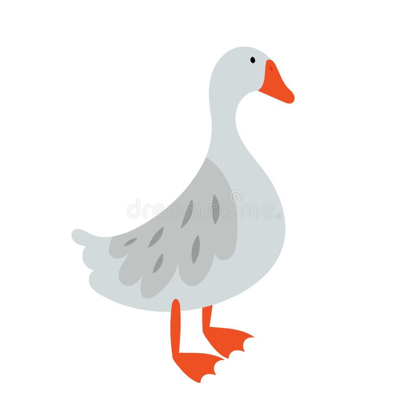 Farm Gray Goose. Vector Illustration of a Gray Goose. Stock Vector ...