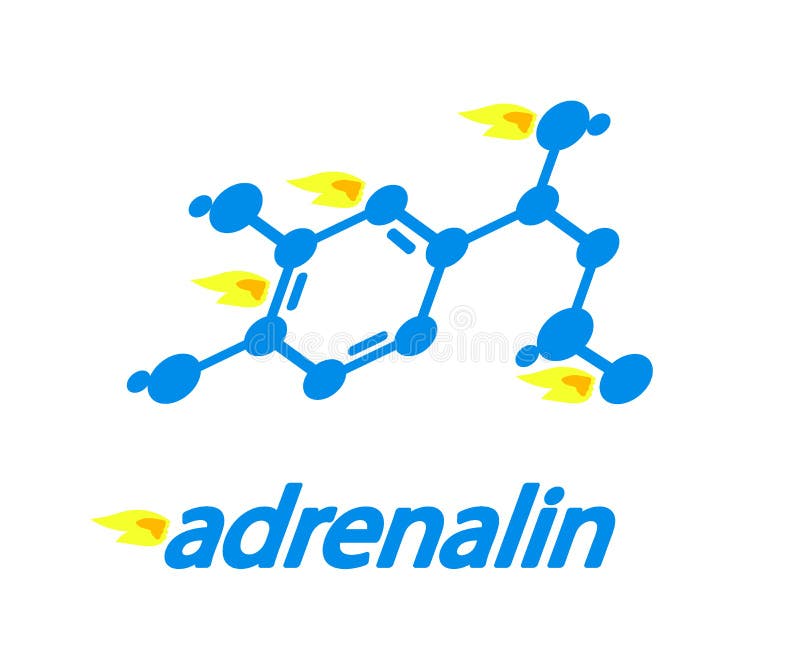 Adrenaline Molecular Formula Vector Icon Stock Vector - Illustration of ...
