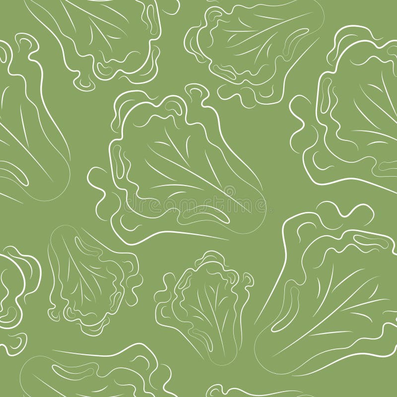 Pattern of Heads of Lettuce Drawn with Various Lines Stock Vector ...