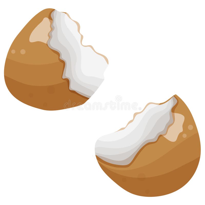 Brown Egg Shell Icon, for Various Food Designs Stock Illustration ...
