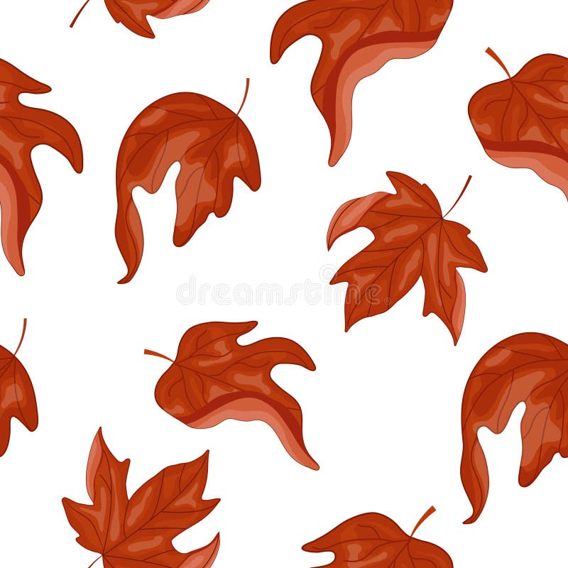 Pattern of Curved Leaves from a Deciduous Tree, Namely from a Maple ...