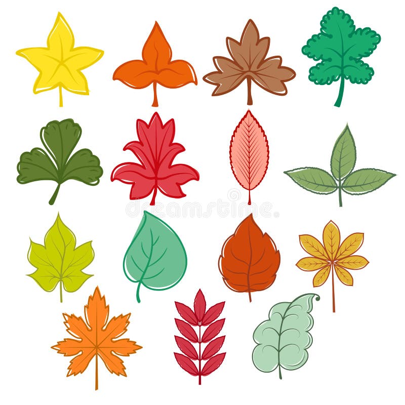 Different leaves, clipart stock vector. Illustration of trees - 162754815