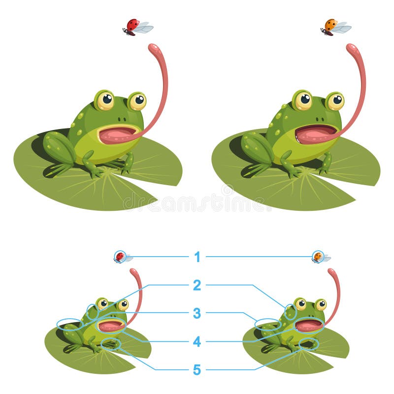 The Frog is Trying To Catch a Ladybug with Its Tongue. Find the Five ...