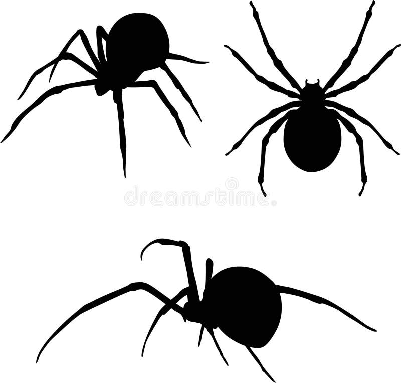 Spider outline drawing stock vector. Illustration of silhouette - 228269717