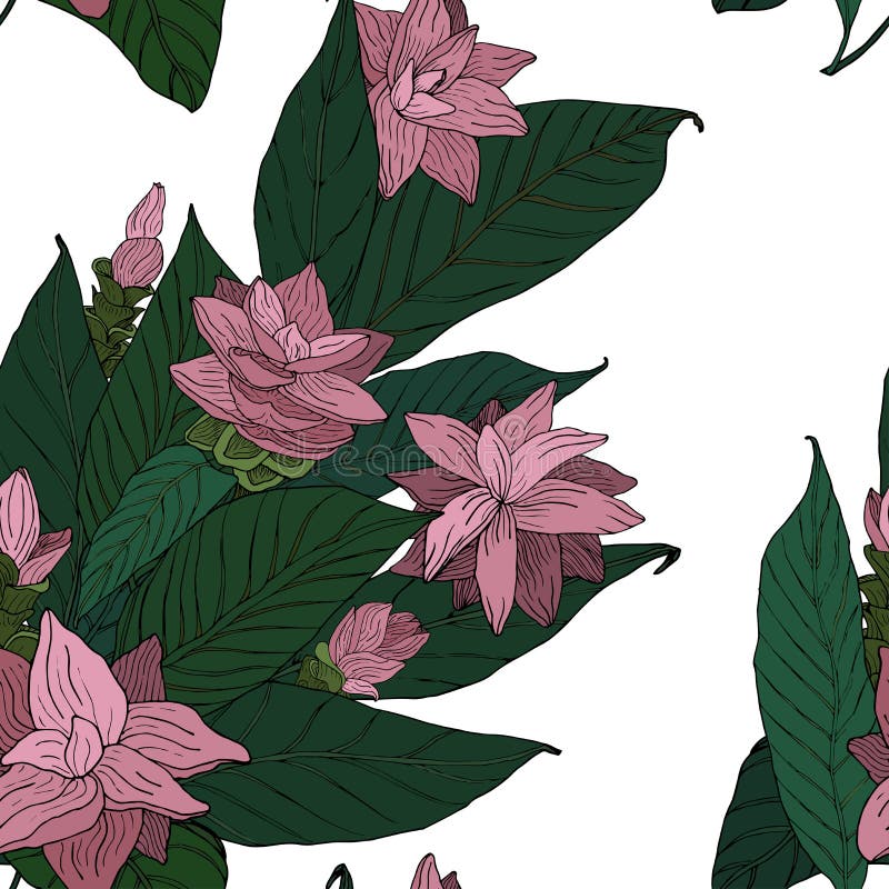 Curcuma flower pattern stock vector. Illustration of beautiful - 154782665