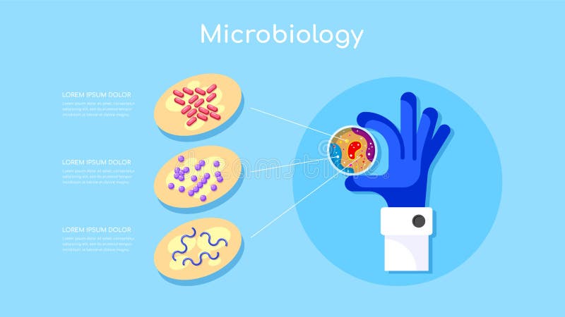 Microbiological Research Concept Stock Vector - Illustration of biology ...